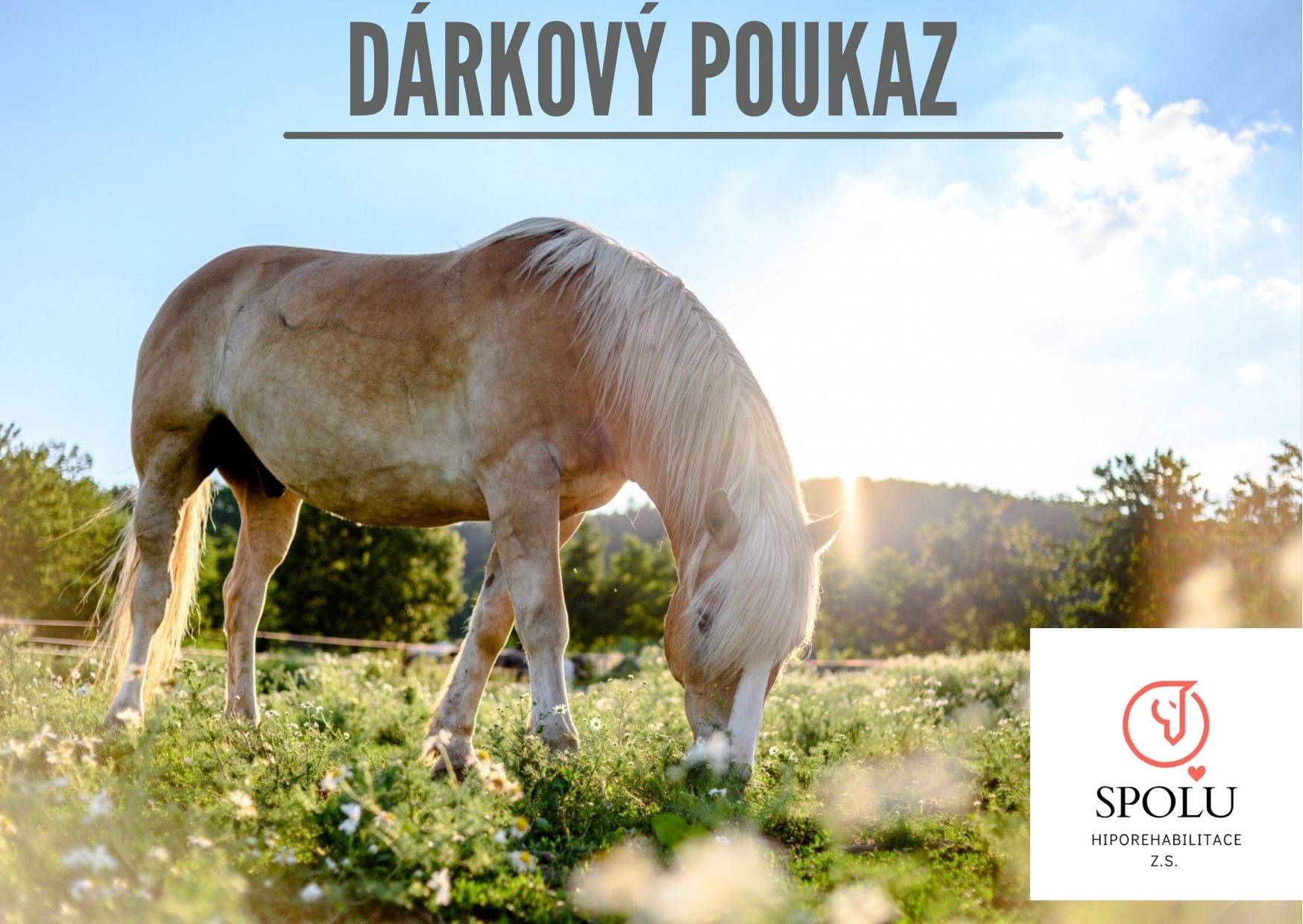 VÁNOČNÍ POUKAZY :: SPOLU HIPOREHABILITACE